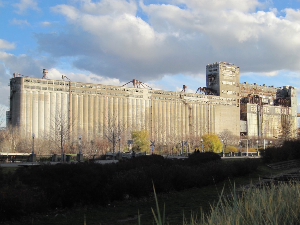 Location – Dr Arlene Caplan